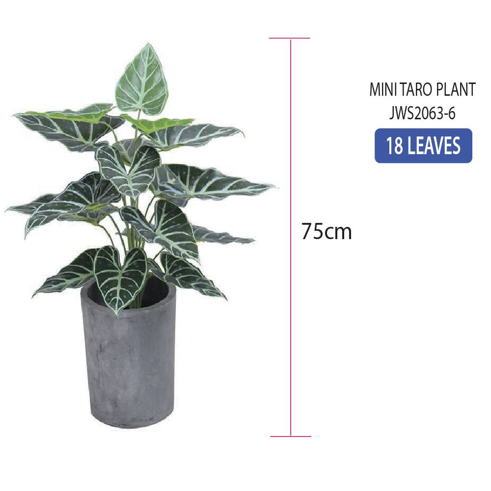 Mother in Law’s Tounge / Sanseveria Artificial / Mini Taro Artificial ...